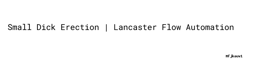 Small Dick Erection Lancaster Flow Automation